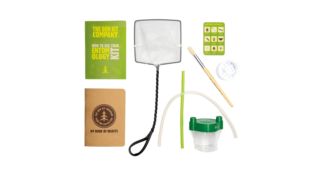 The Entomology Kit – Wildlife Trust BCN Shop